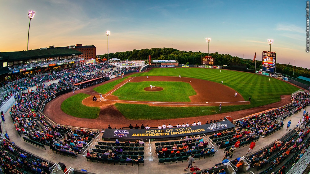 Aberdeen IronBirds release schedule for 2021 season – THE BALTIMORE BATTERY